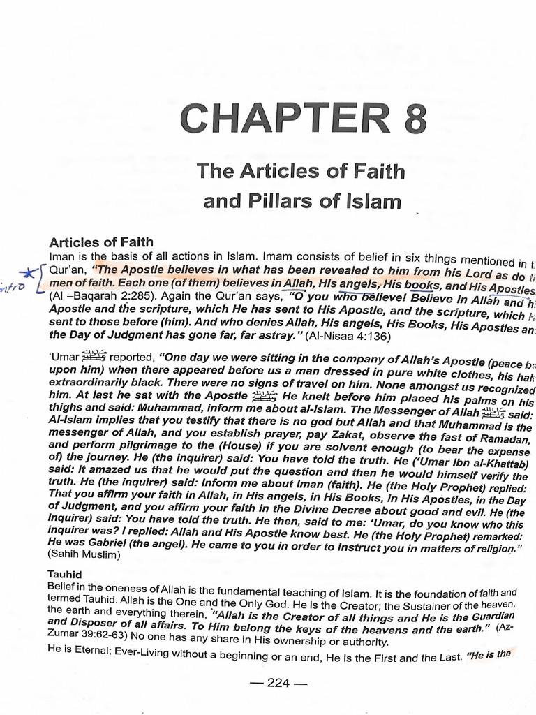 Scan 2024-11-23 1930 | PDF