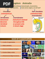 Animal Kingdom Flow Chart | PDF | Biology | Zoology