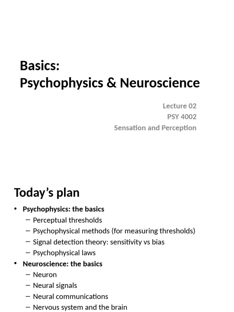 Lec 2 - Psychophysics and Neuroscience | PDF | Psychophysics | Neuron