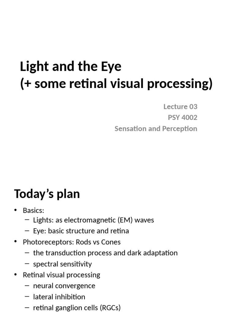 lec 3 - light eye | PDF | Retina | Eye