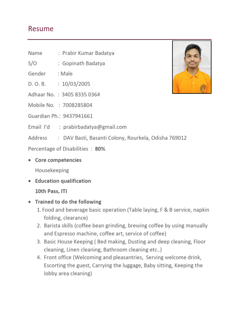 Mr.prabir Badatya Cv | PDF