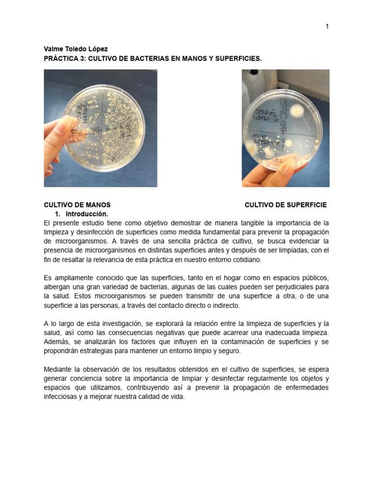 CA. Práctica 3. Cultivo de Bacterias en Manos y Superficies | PDF ...