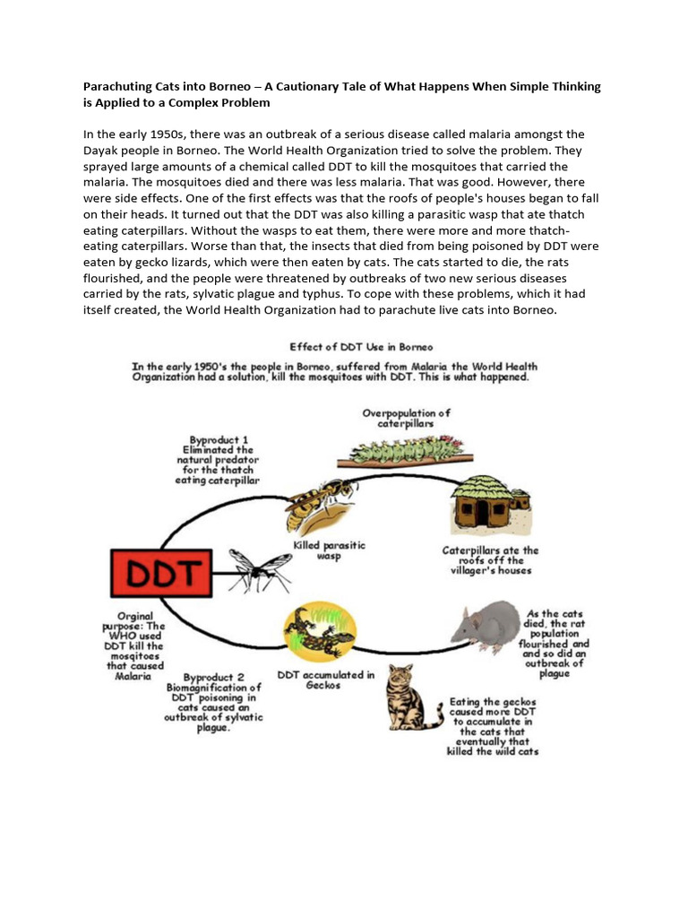 Parachuting Cats into Borneo | PDF