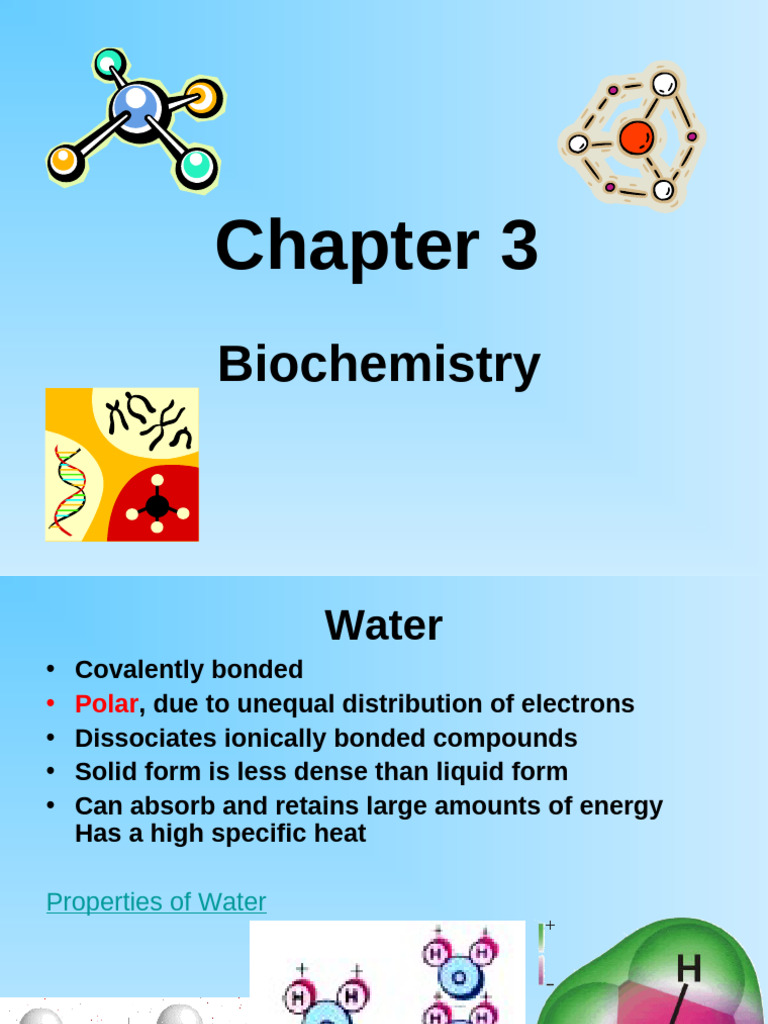2 - Macromolecules PowerPoint-1 | PDF | Lipid | Carbohydrates