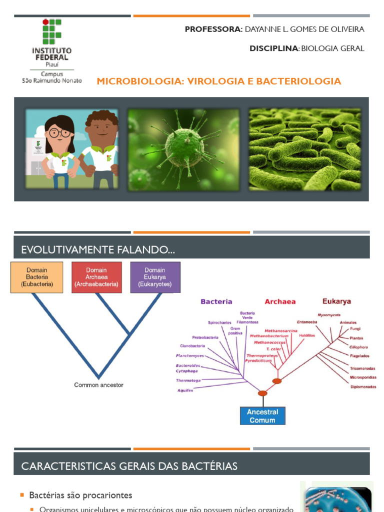 Aula - Microbiologia Bacteriologia | PDF | Bactérias | Célula (Biologia)