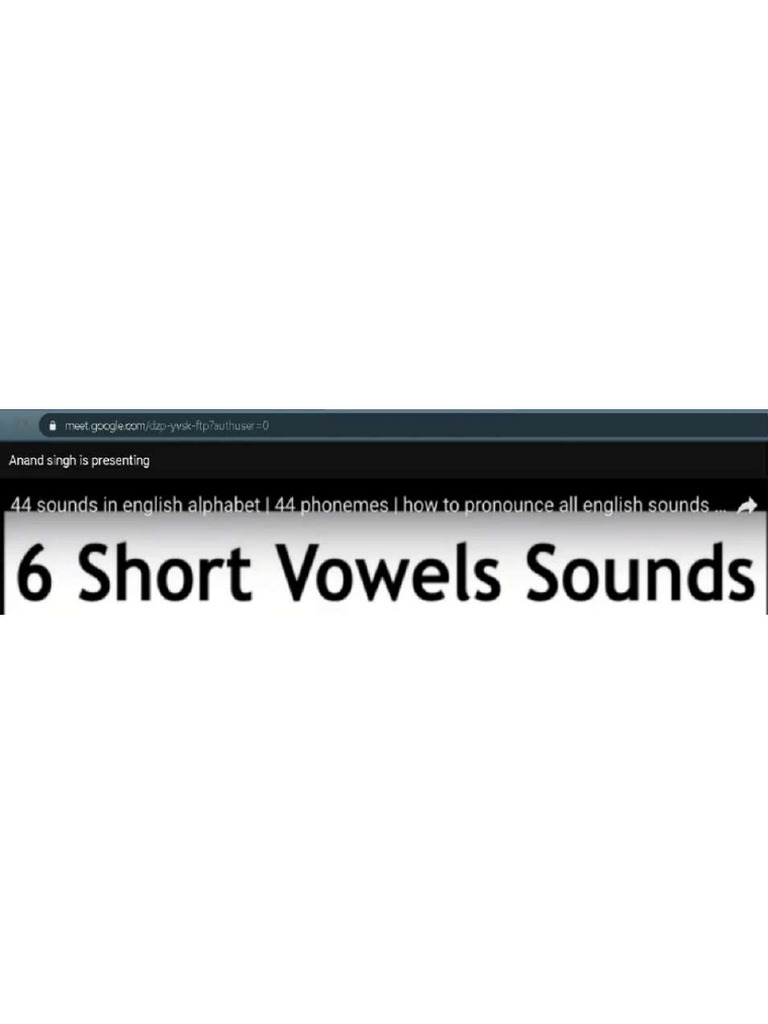 Coccoc Screenshot | PDF