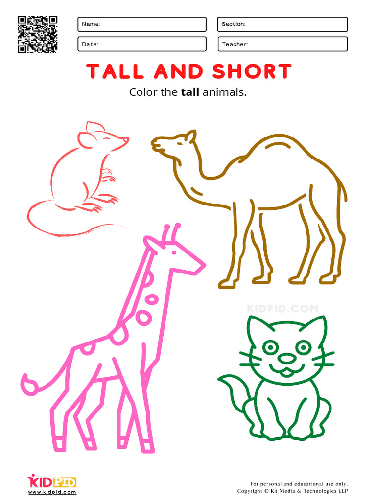 Tall Short Worksheets For Preschool Free Printables Hohui2 | PDF