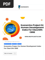 HDI Project Class12 | PDF