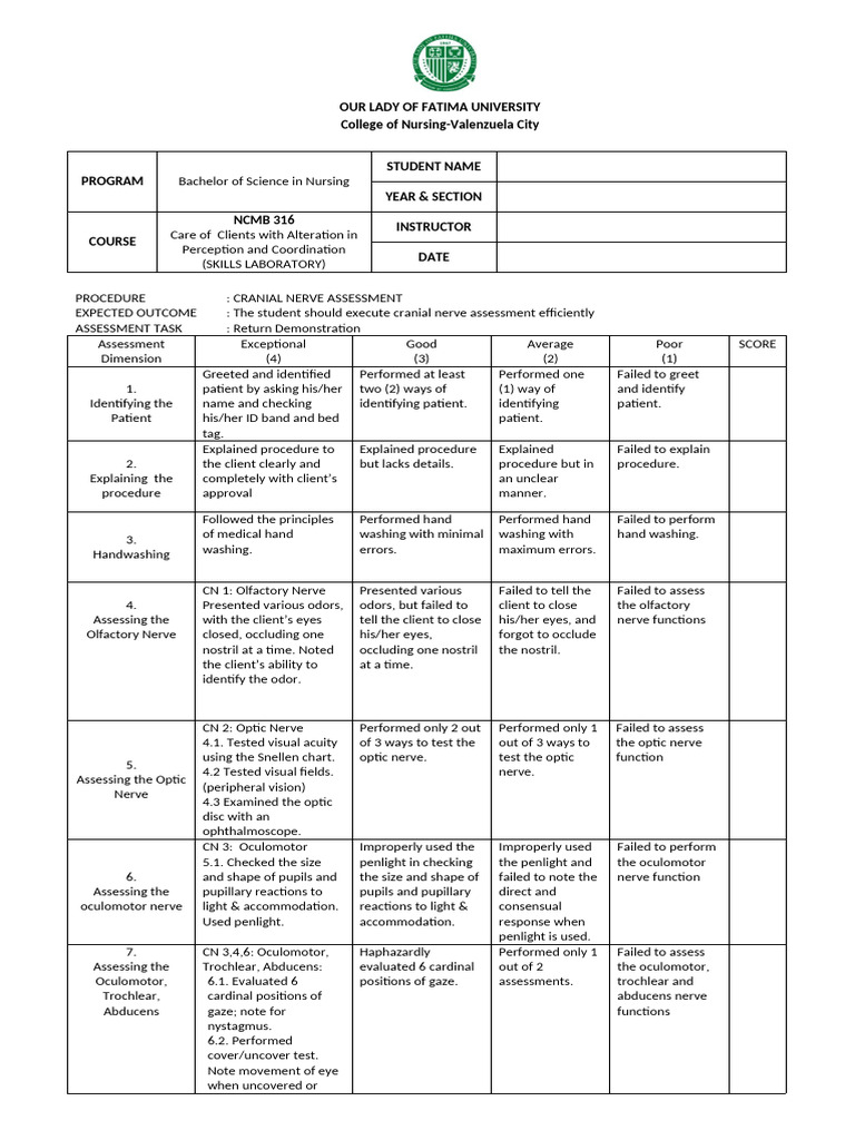 RUBRIC Assessing Cranial Nerve | PDF | Nervous System | Human Anatomy