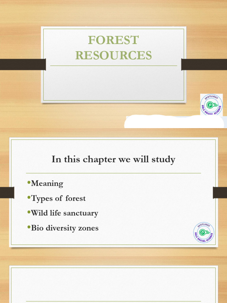 forest | PDF | Forests | Botany