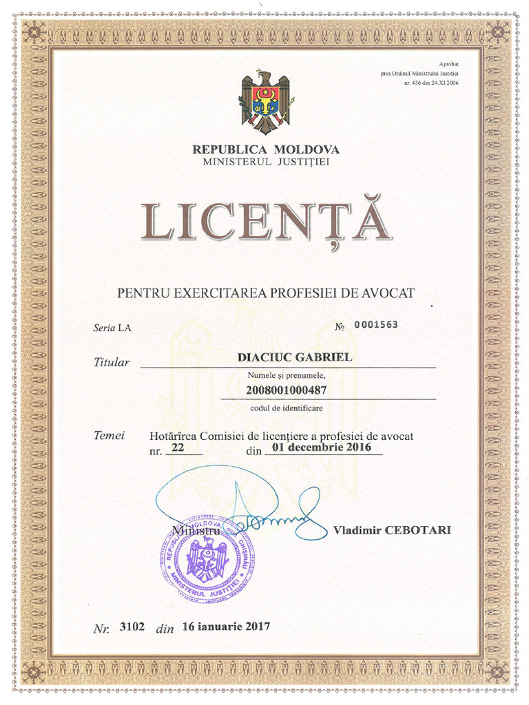 Licenta Gabriel DIACIUC | PDF