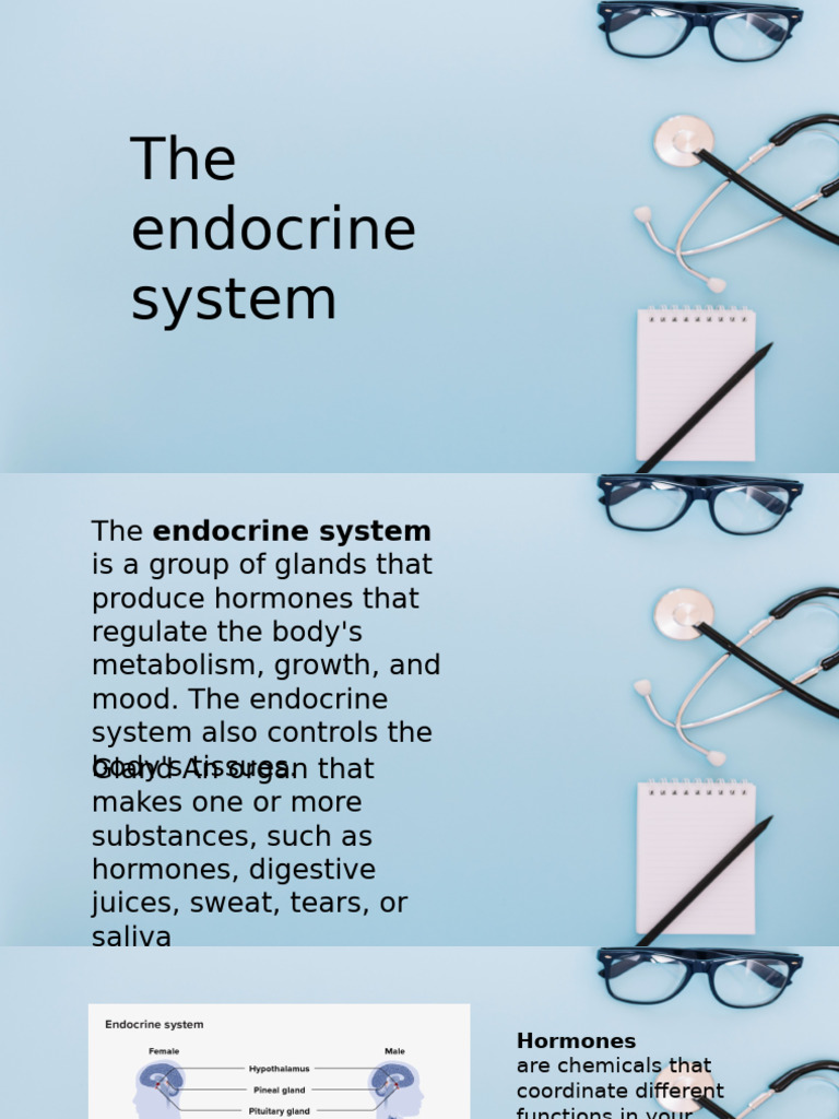Overview of the Endocrine System | PDF | Endocrine System | Pituitary Gland