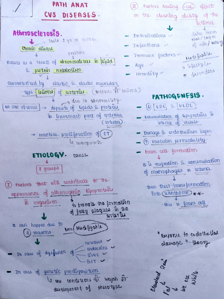 Cvs | PDF