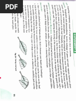 10biology Practical - Stomata | PDF | Stoma | Leaf