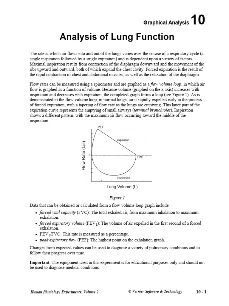Analysis of Lung Function | PDF | Exhalation | Lung