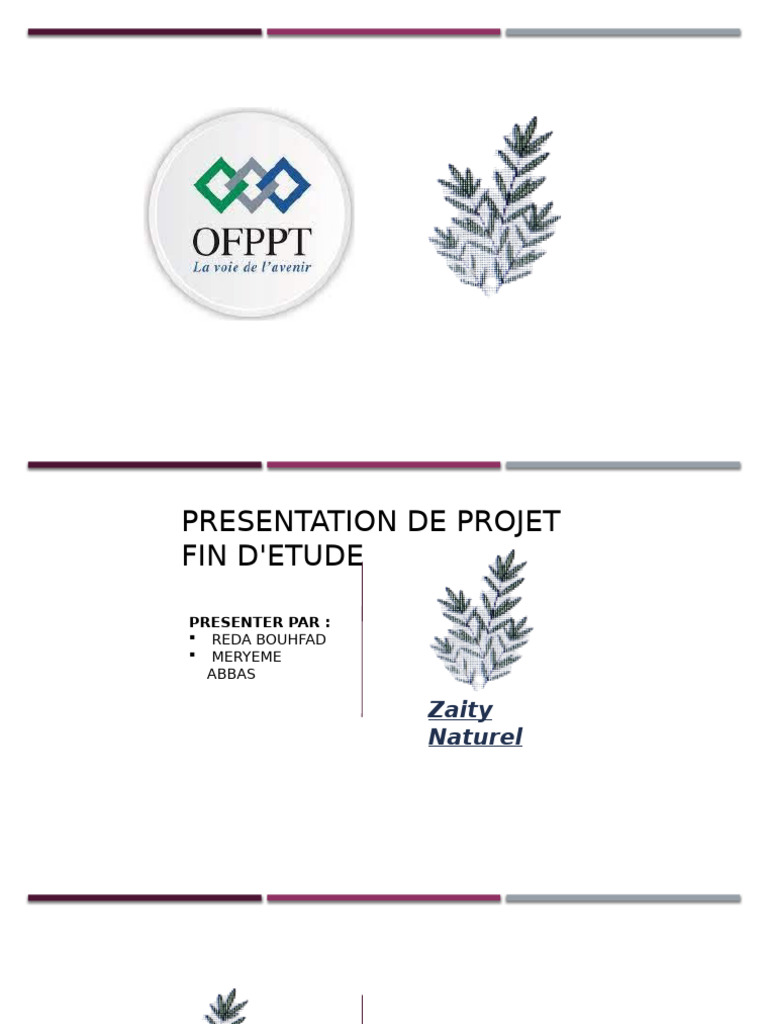 PROJET FIN FORMATION | PDF | Commercialisation