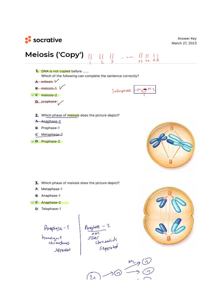 Open Quiz_Meiosis Key | PDF | Meiosis | Chromosome
