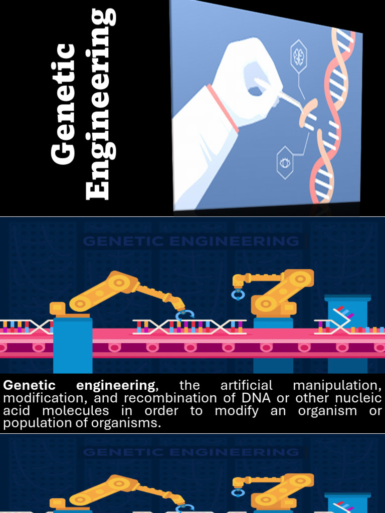 3.1 Genetic Engineering | PDF | Primer (Molecular Biology) | Polymerase ...