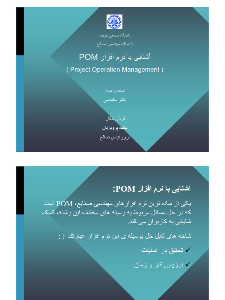 Project Operation Management | PDF