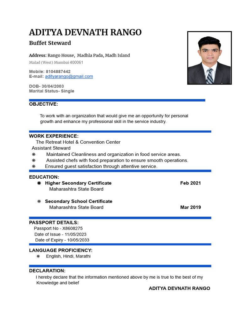 ADITYA CV. Untitled Document | PDF