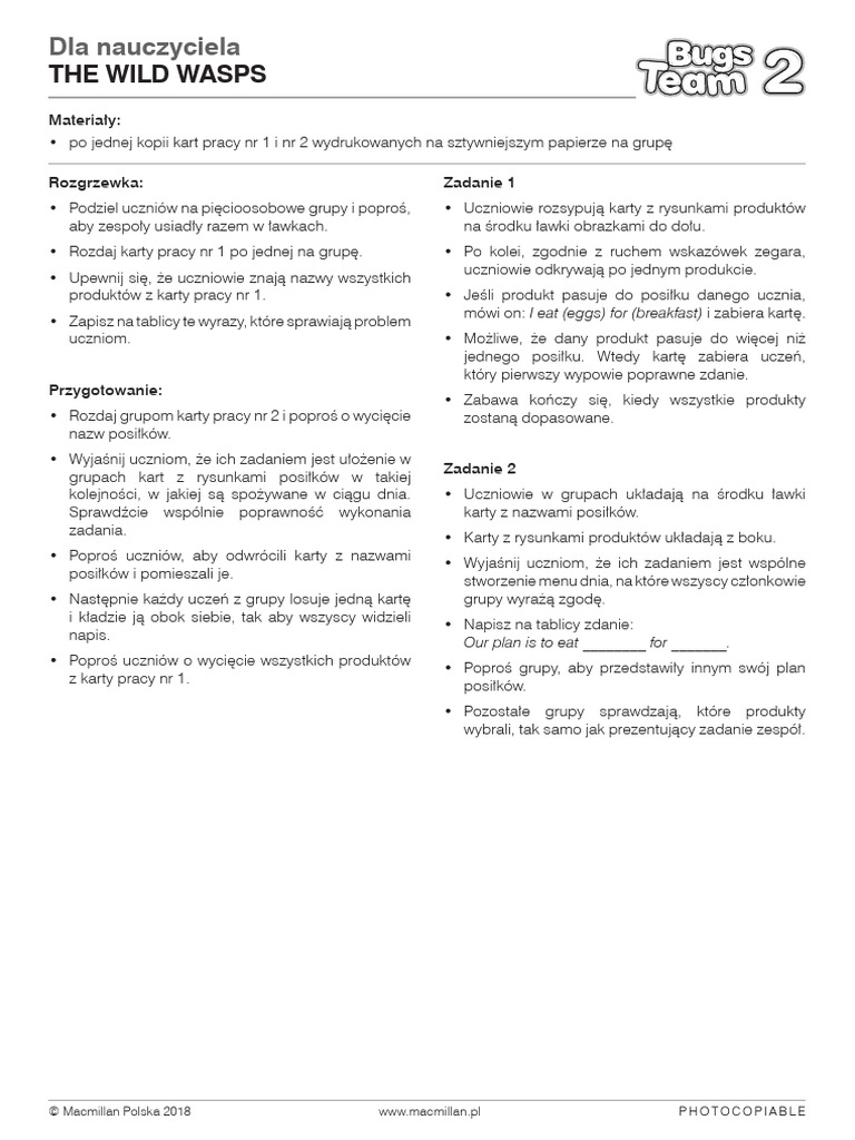 Bugs Team 2 U5 The Wild Wasps | PDF