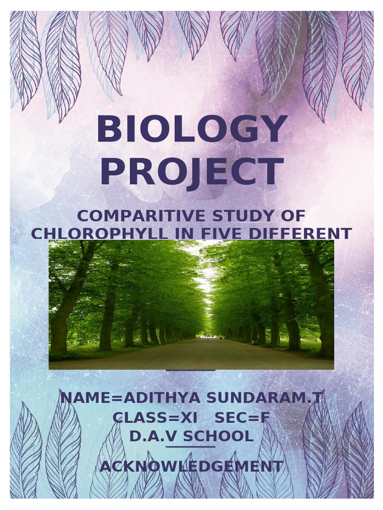 BIOLOGY PROJECT | PDF | Chlorophyll | Photosynthesis