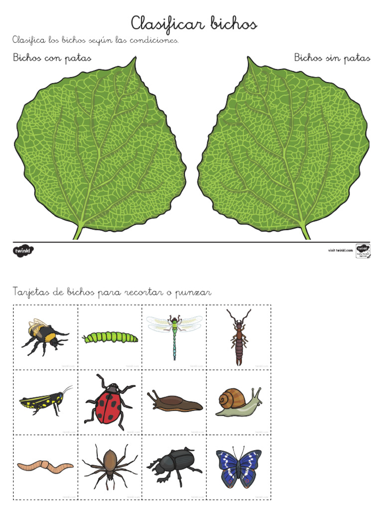ES T T 5064 Actividad de Clasificar Bichos Con y Sin Patas Tarjetas de ...