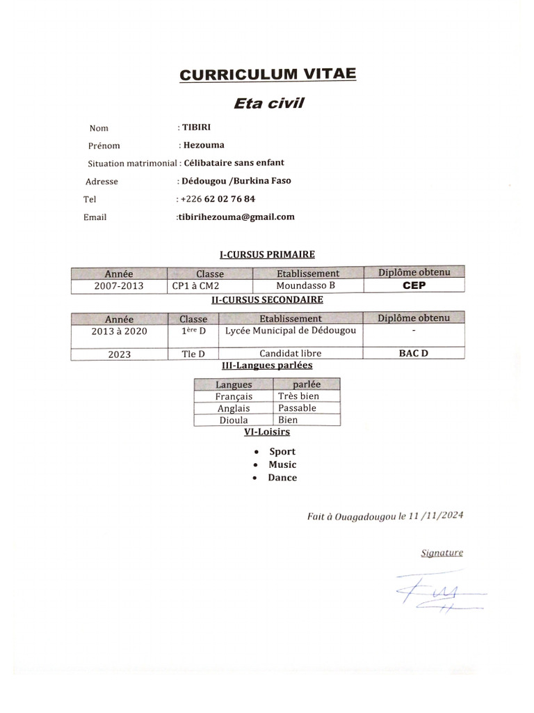 ACE Scanner_2024_11_11 | PDF