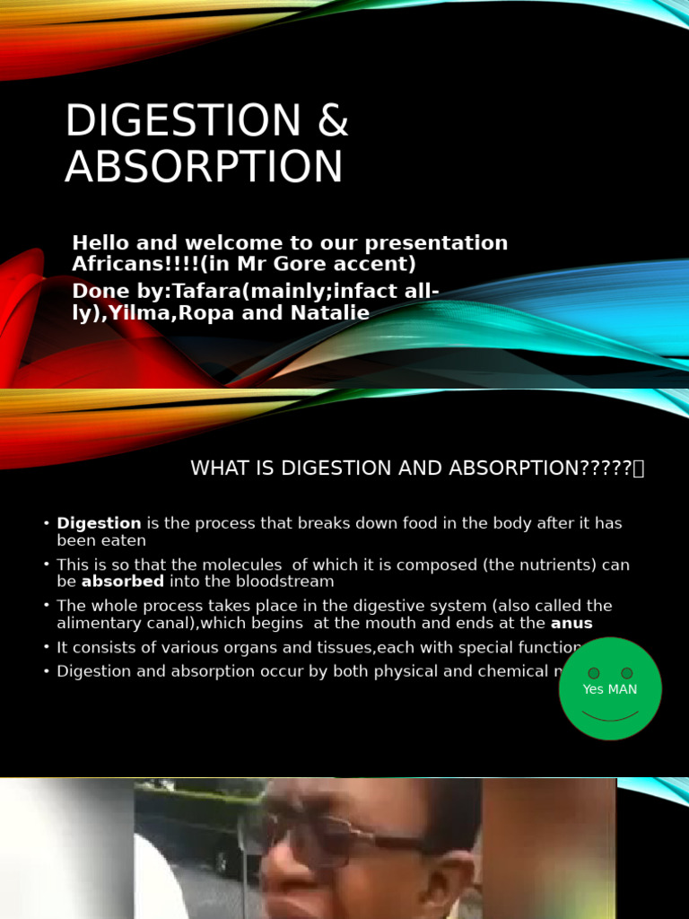 FN Presentation-Digestion and Absorption | PDF | Digestion | Human ...