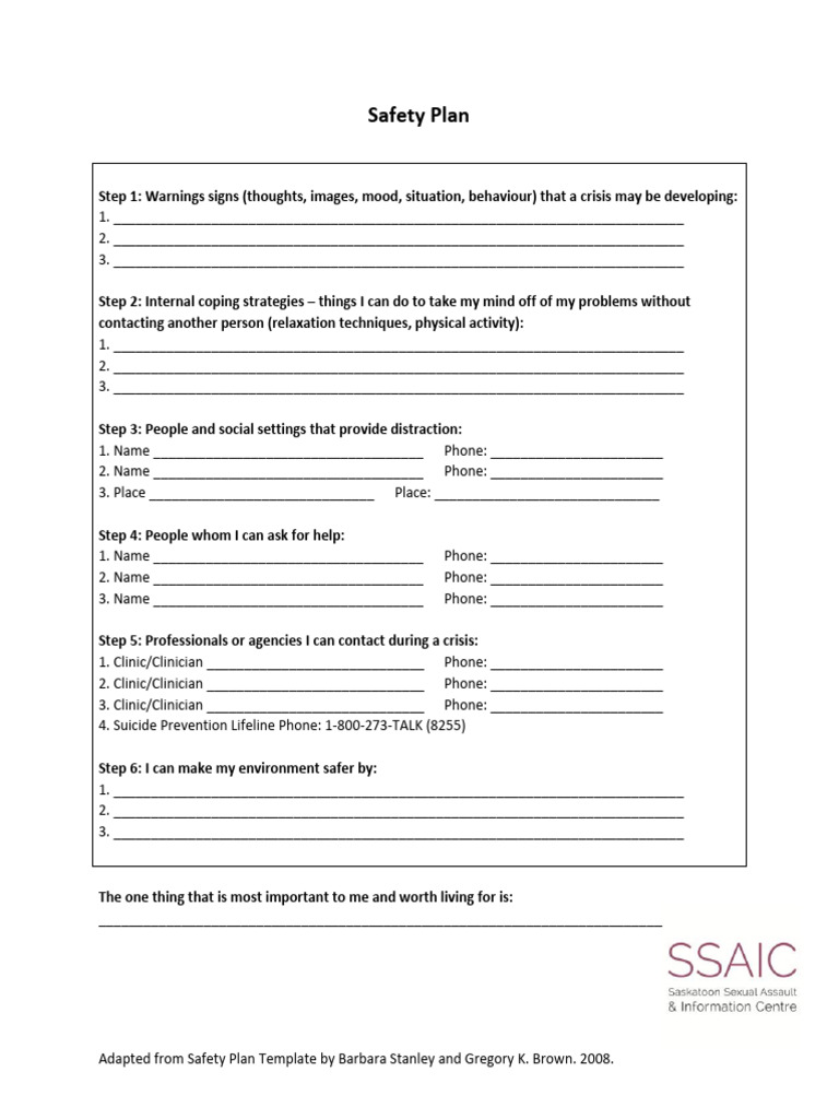 Safety Plan Template | PDF
