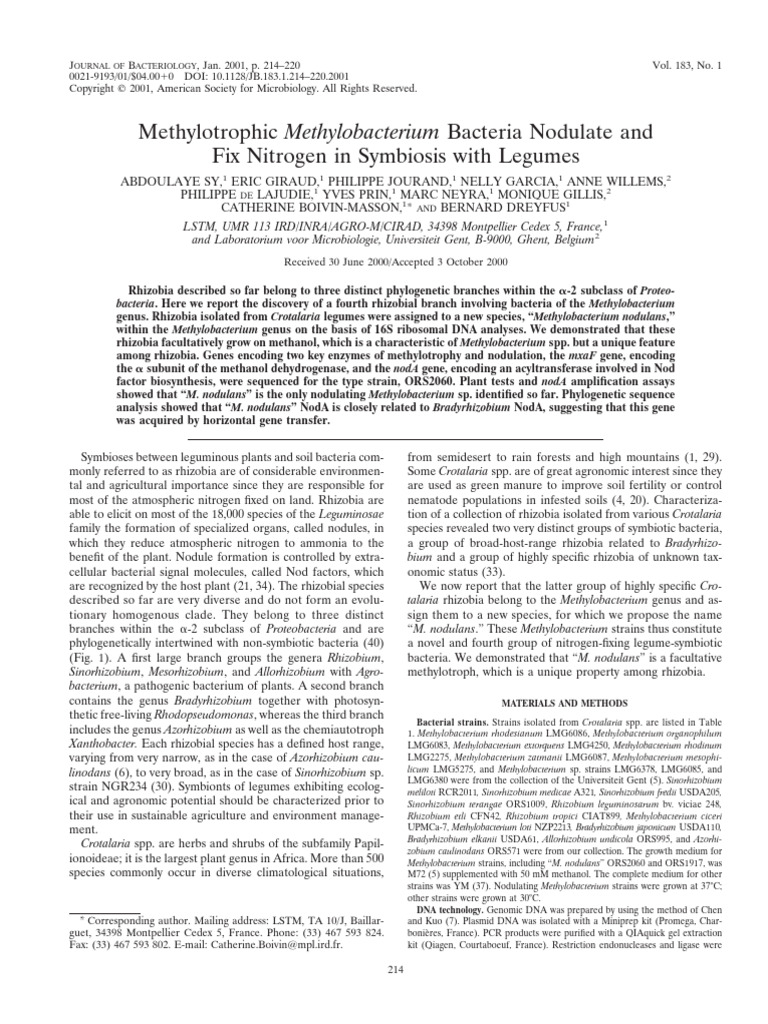 Methylotrophic Methylobacterium Bacteria Nodulate and Fix Nitrogen in ...