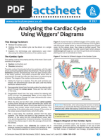Cardiac Cycle Overview for A-Level Biology | PDF | Ventricle (Heart ...