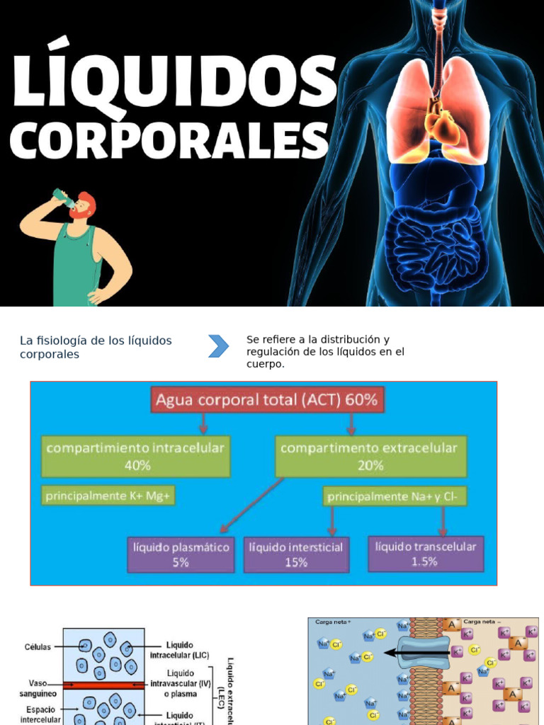 FIsiología de Liquidos Corporales | PDF | Agua | Bioquímica