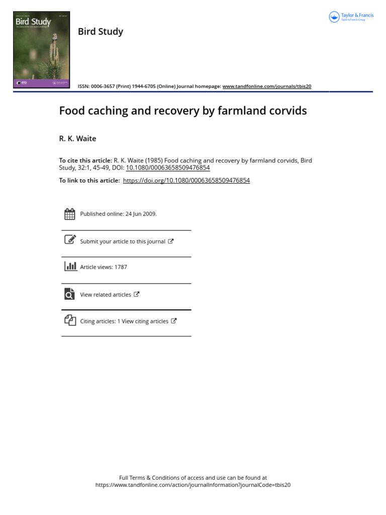 Food Caching and Recovery by Farmland Corvids 1985 | PDF | Birds | Zoology