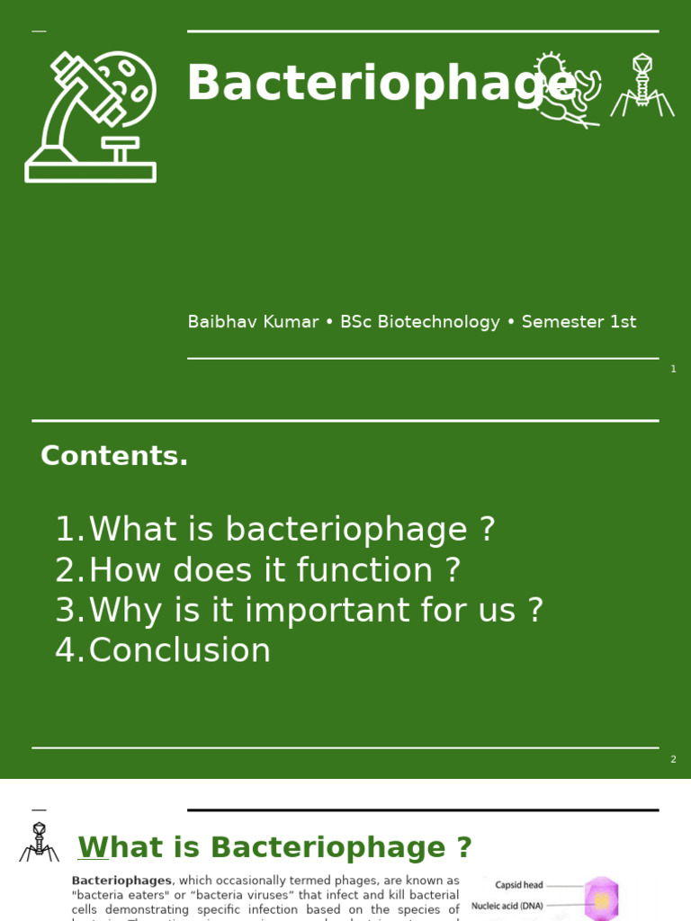 Bacteriophage (1)x | PDF | Bacteriophage | Bacteria