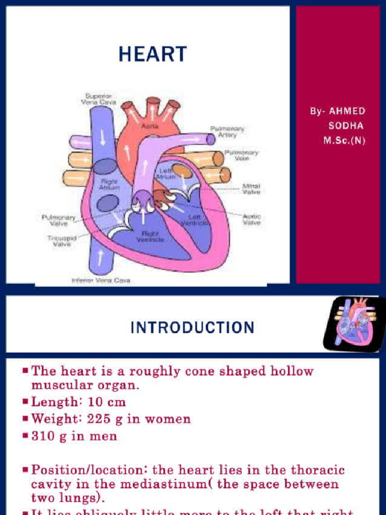 Heart | PDF