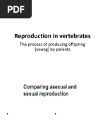 reproduction in vertabrates revision gr12 | PDF