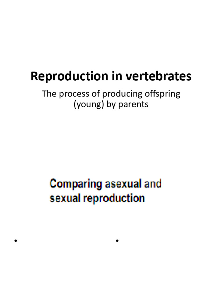 Reproductive Strategies in Animals | PDF | Fertilisation | Egg