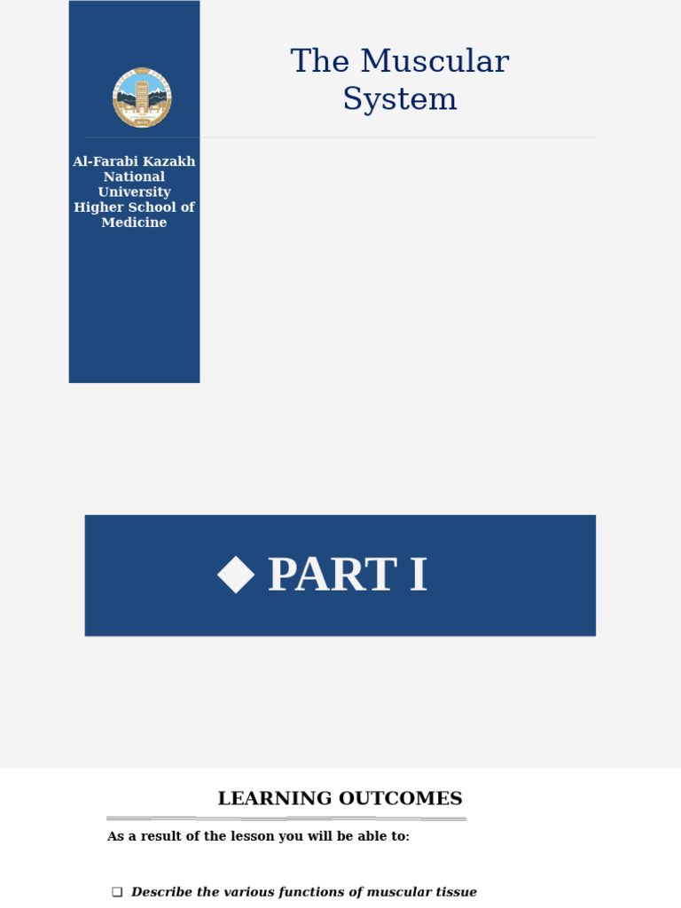 Muscular System 1 - For Students | PDF | Thumb | Skeletal Muscle