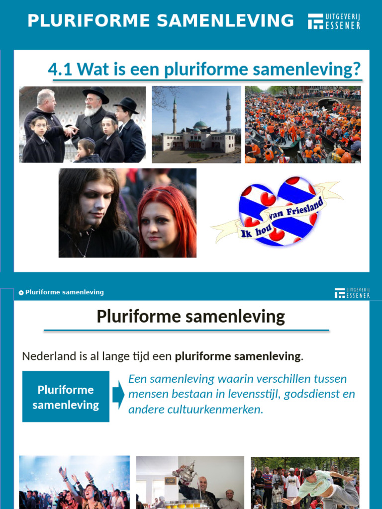 VWO Plurifome Samenleving 4.1 Wat Is Een Pluriforme Samenleving | PDF