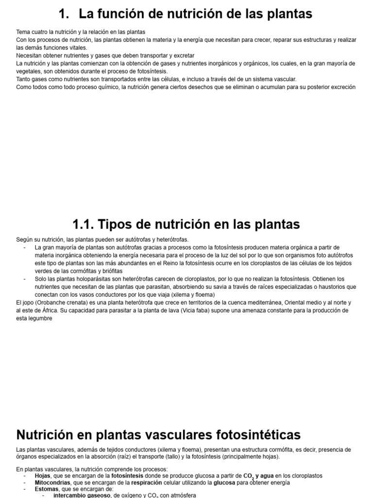 Nutrición y Adaptaciones en Plantas | PDF | Raíz | Hormona Vegetal