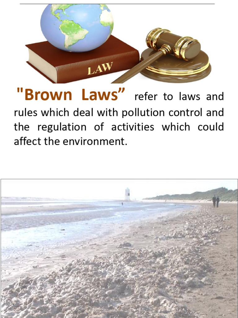 Philippine Environmental Laws Overview | PDF | Environmental Impact ...