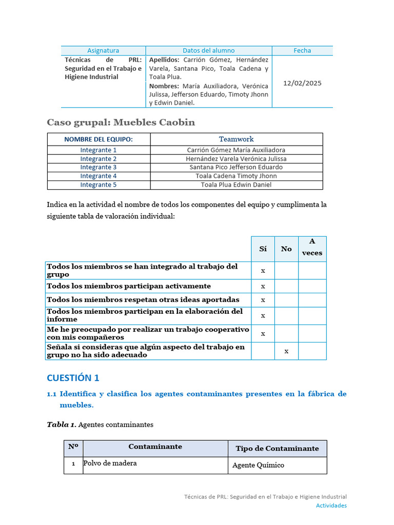 Evaluación de Riesgos en Muebles Caobin | PDF | ruido | Higiene Ocupacional