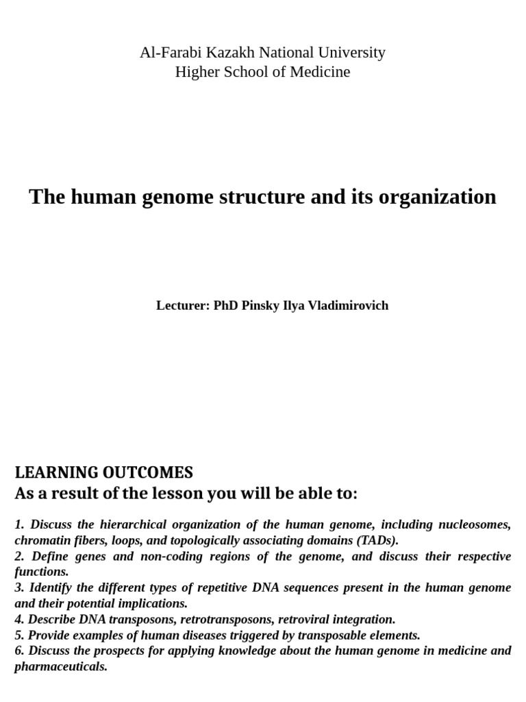 Human Genome Structure and Organization | PDF | Genome | Human Genome