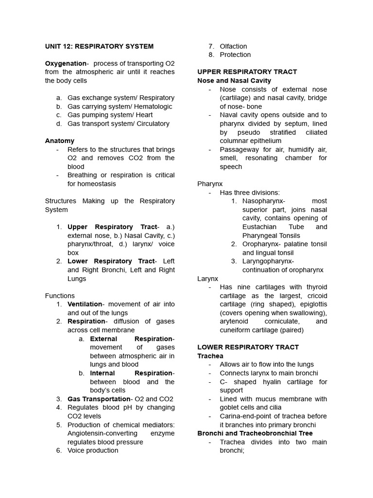 Unit 12_ Respiratory System | PDF | Lung | Respiratory Tract