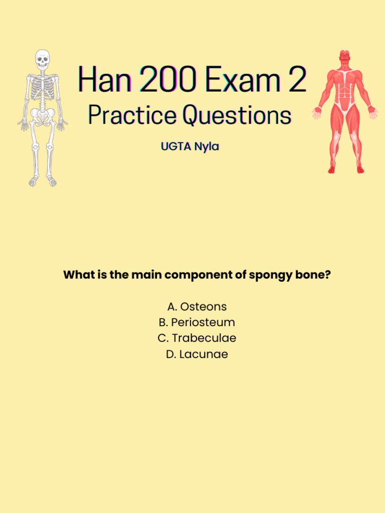 Exam 2 Practice Question Review | PDF | Bone | Skull