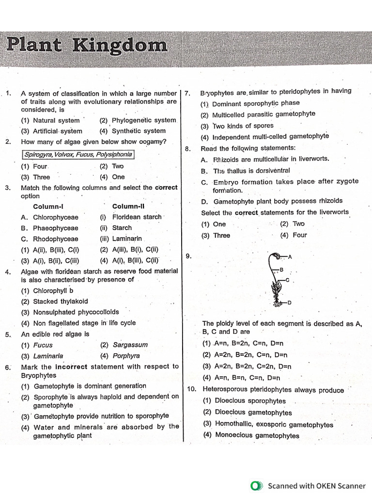 Plant Kingdom Questions | PDF