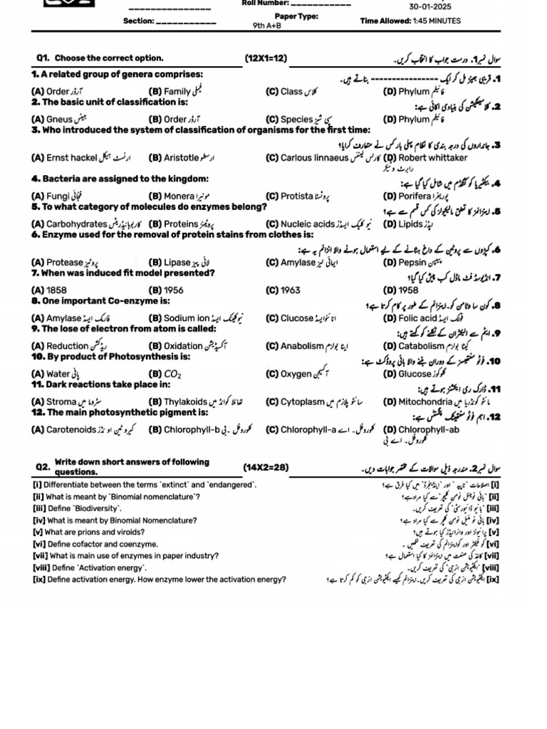 9th A | PDF