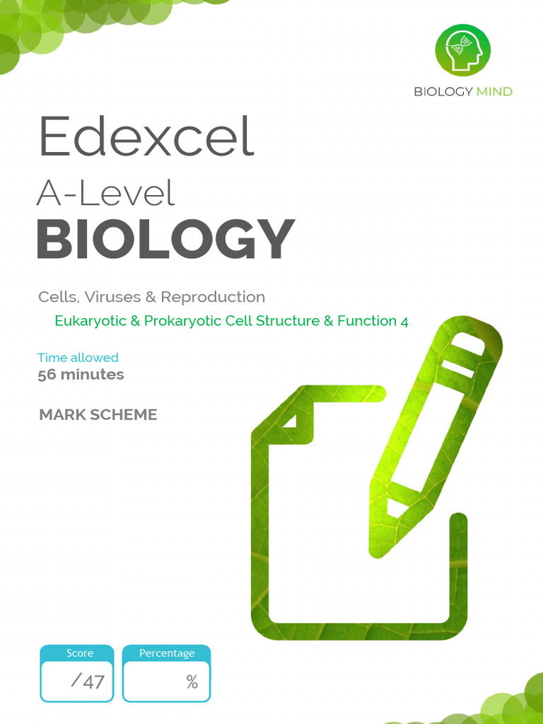 Eukaryotic - Prokaryotic Cell Structure - Function 4 MS | PDF ...