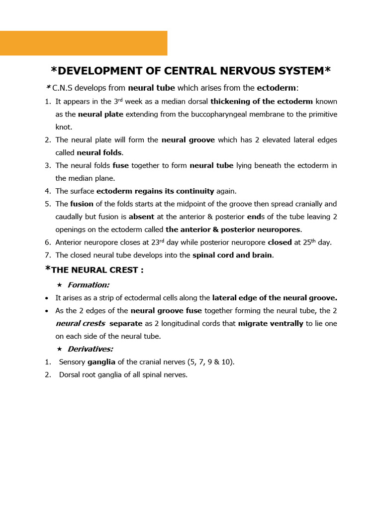 CNS Embryology - Dr. Wahdan | PDF | Cerebrum | Spinal Cord